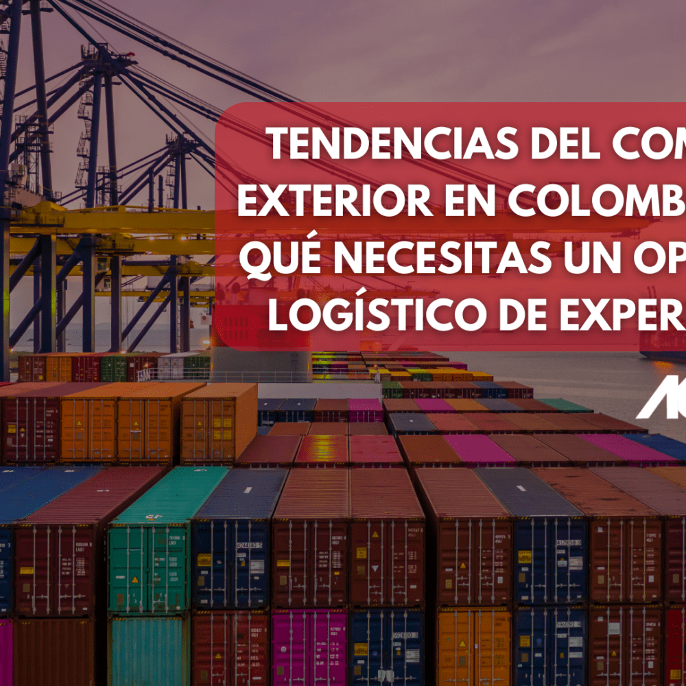 Principales zonas de una bodega o almacén - Agunsa Logistics